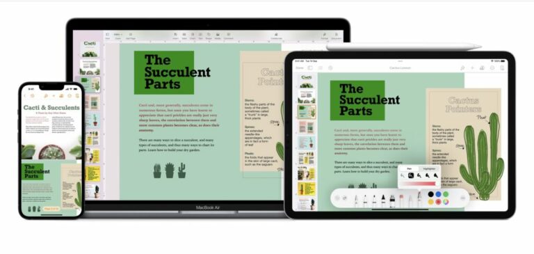 How to Run Microsoft Publisher for Mac [Best Methods]