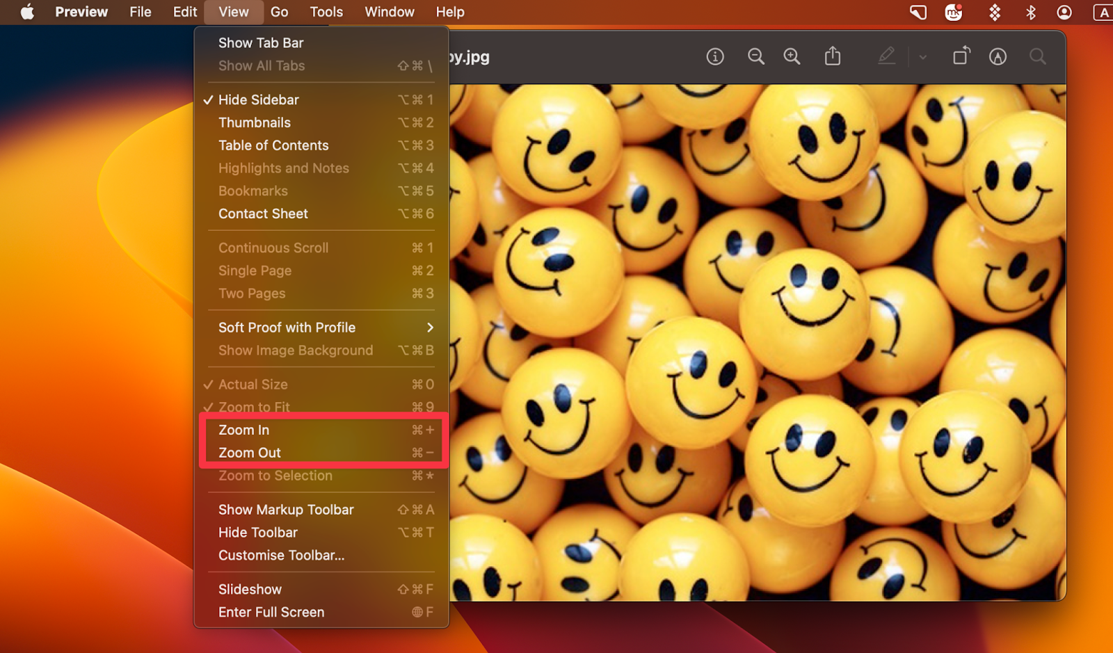4 Ways to Zoom In or Zoom Out on MacBook Pro - MacMyths